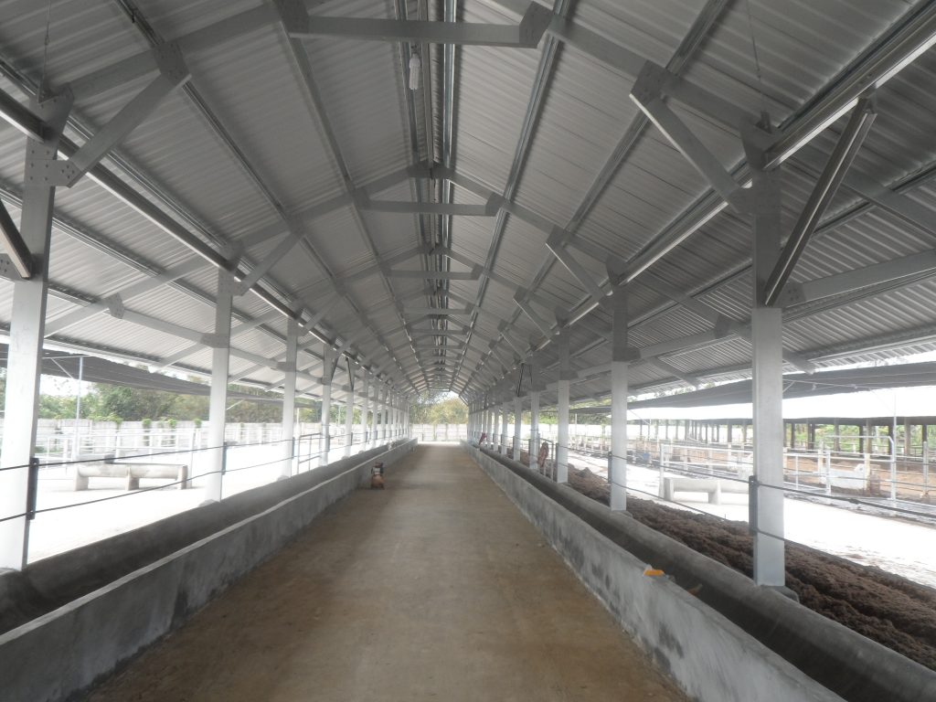Kandang Sapi Great Giant Livestock (GGL) - Lysaght - Indonesia